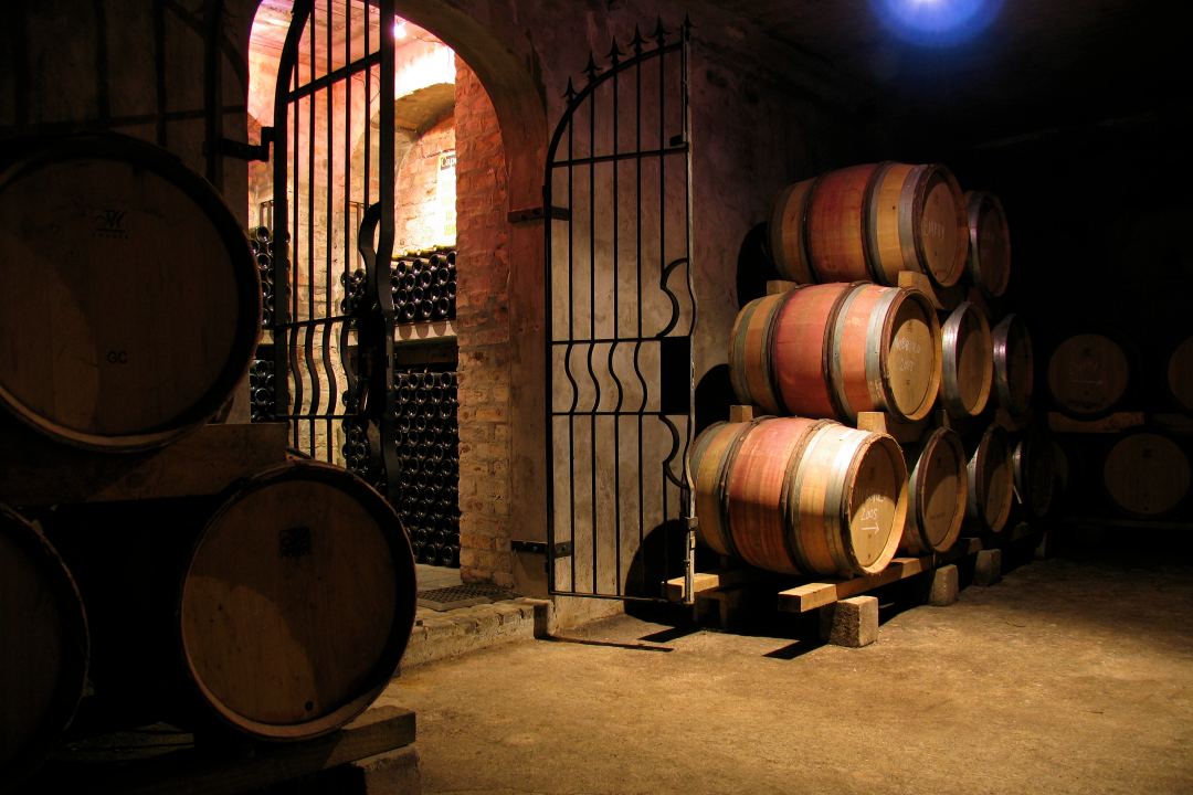 Gallery – Viticulture – Dominic Price